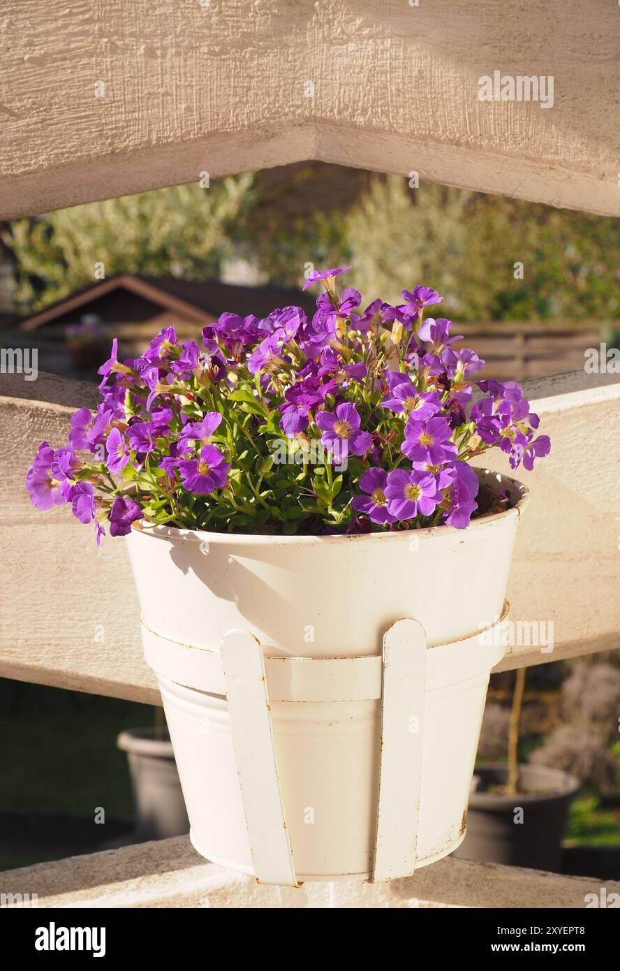 Purple buckets hi-res stock photography and images - Alamy
