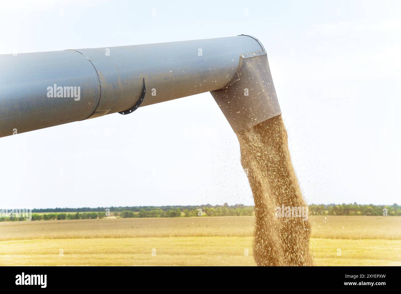 Combine unloading grain car hi-res stock photography and images - Alamy