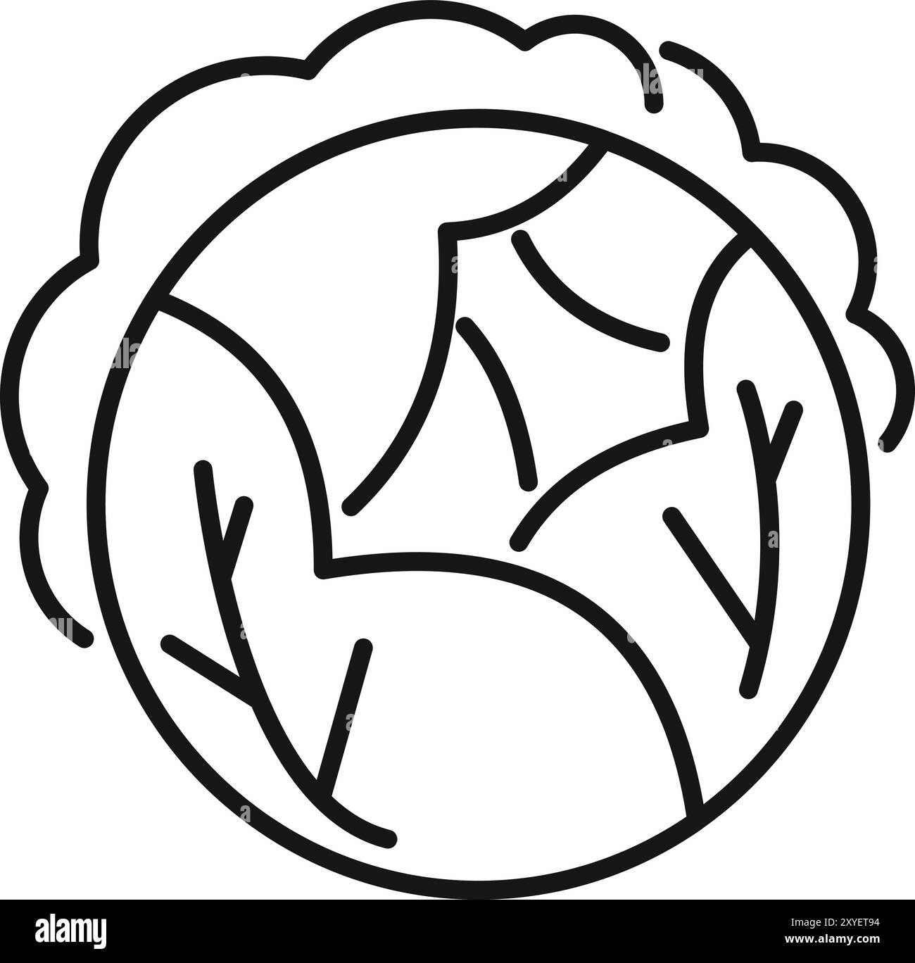 Simple and minimalist line drawing of a cabbage head, ideal for grocery ...