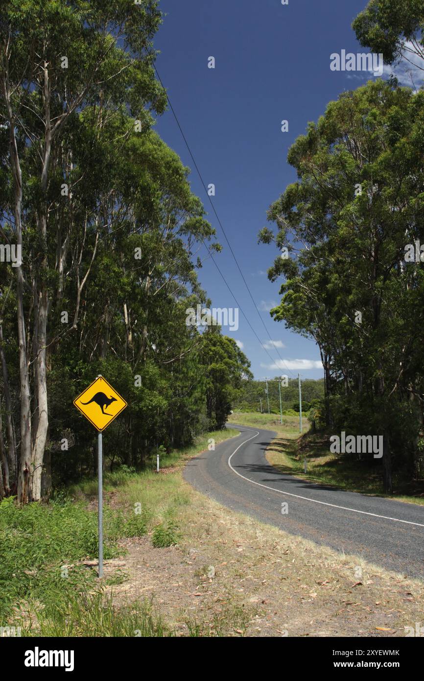 A road sign warning against kangaroos on a country road in Queensland ...