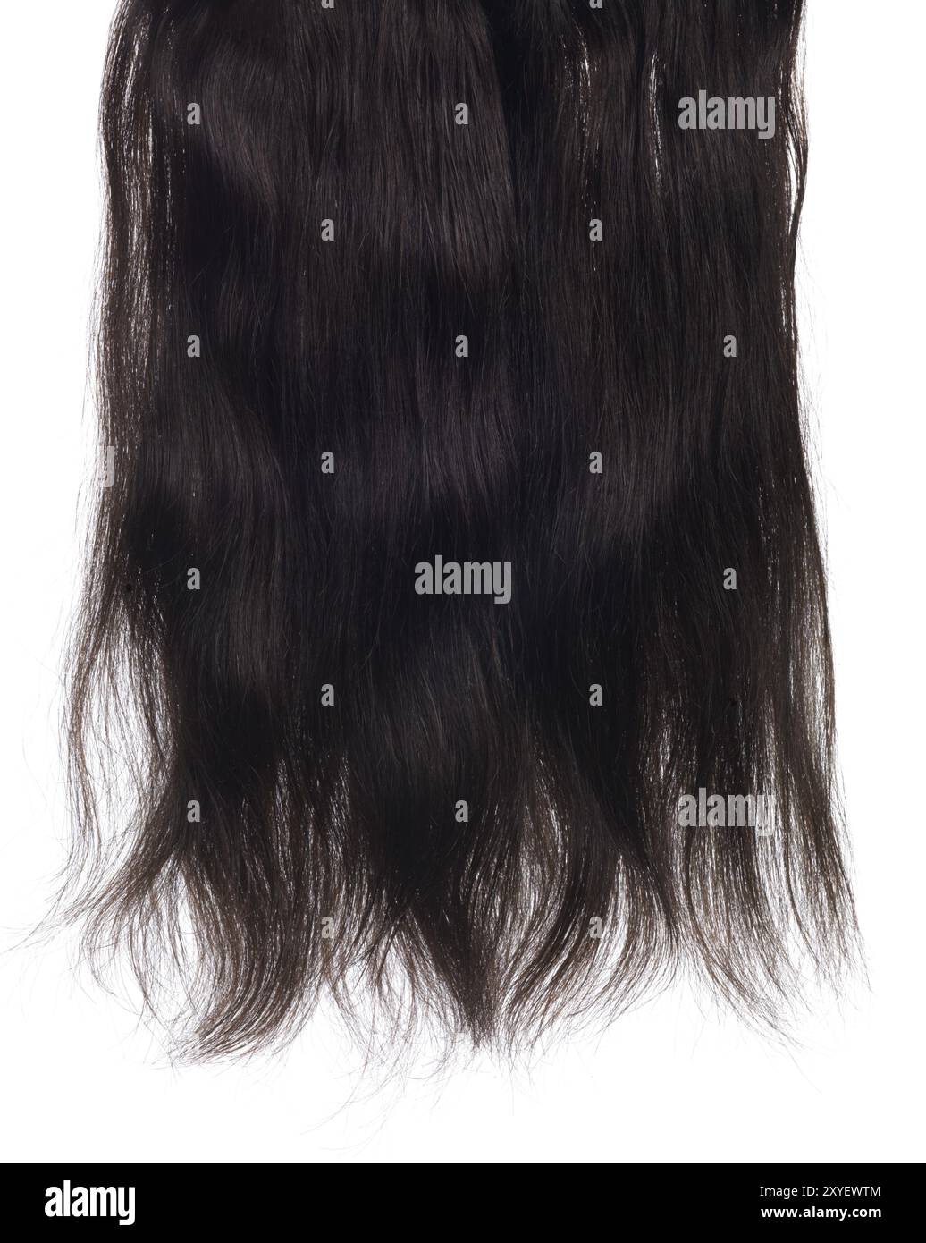 Dark brown hair extensions with real hair isolated texture on white ...