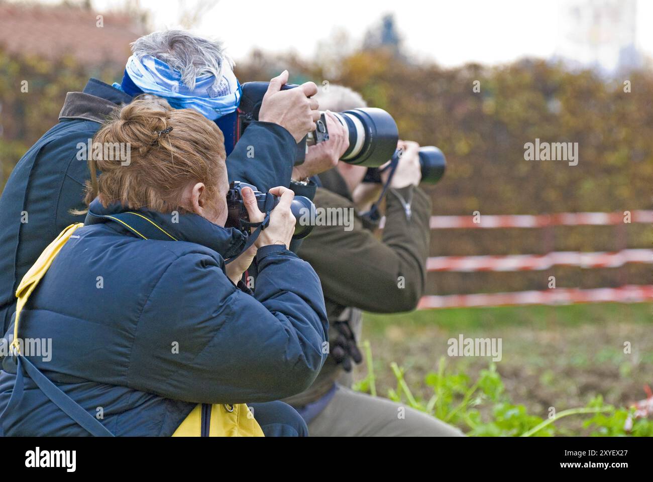 Group of photographers in action Stock Photo - Alamy