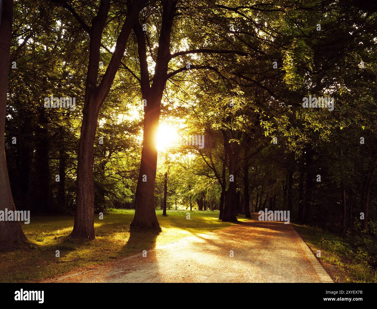 Beautiful warm sunrise in hi-res stock photography and images - Alamy