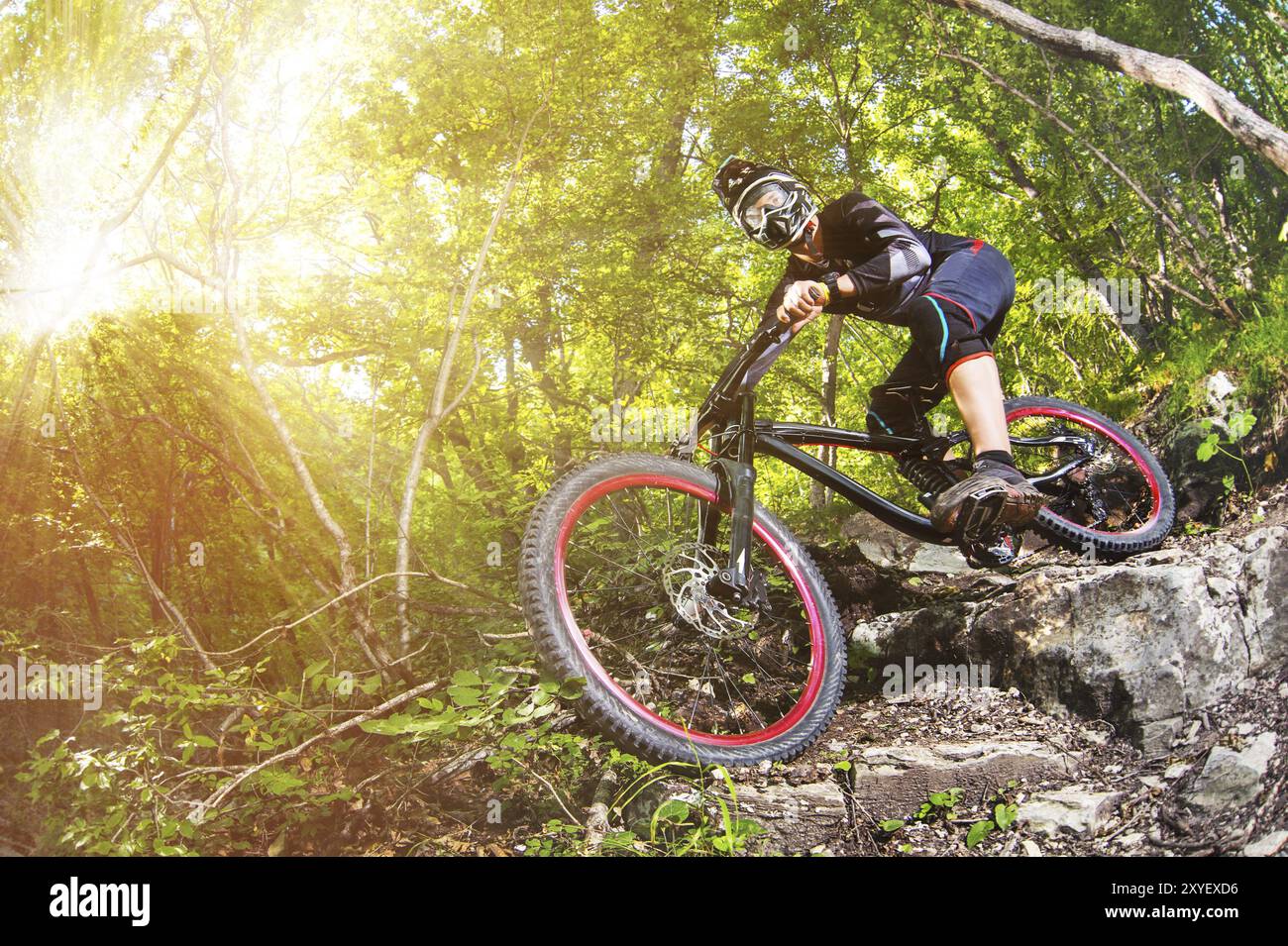 A young rider on a bicycle for downhill descends the rocks in the ...