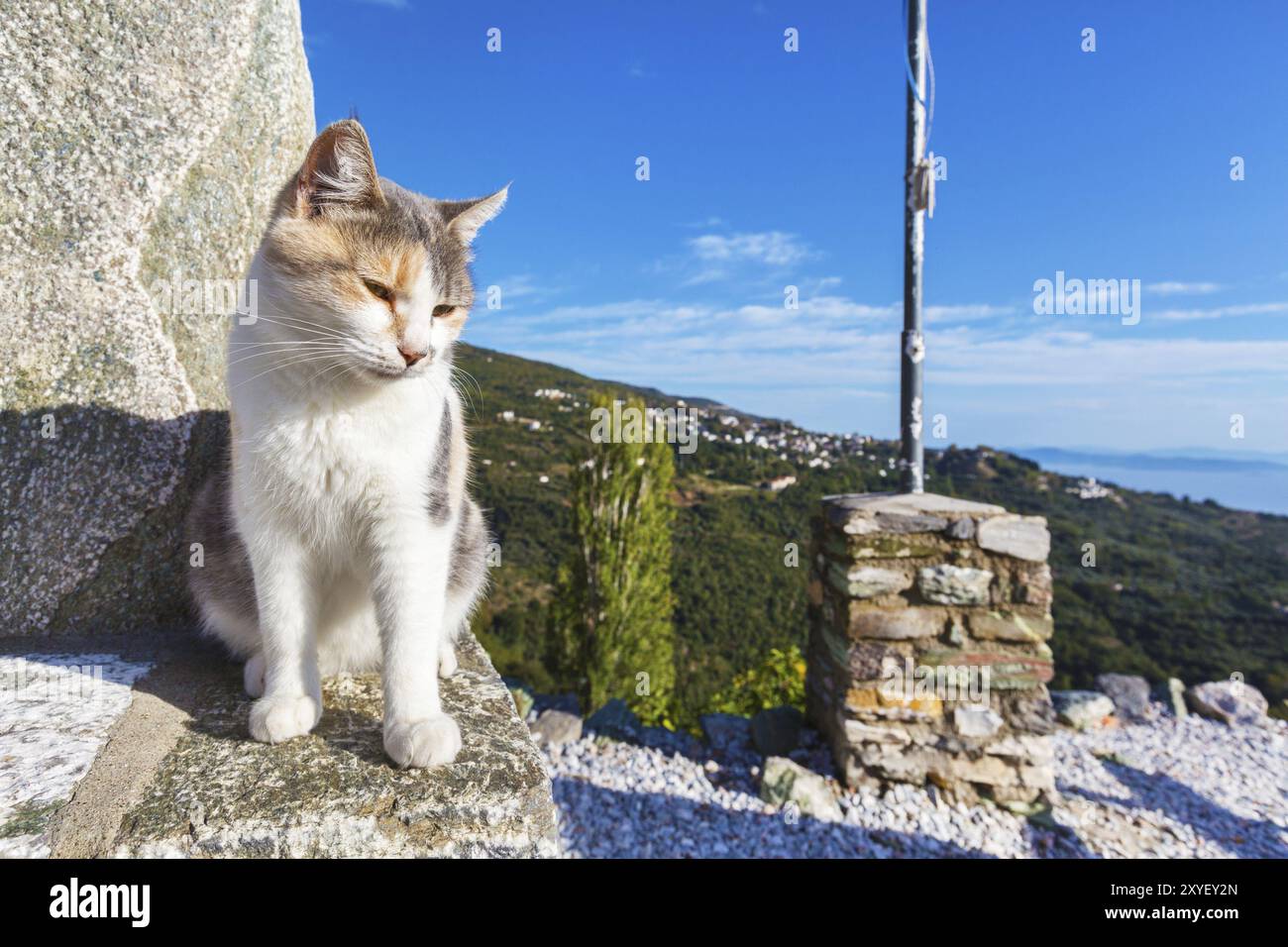 Cat and Pelion mountain and sea panorama behind Stock Photo - Alamy