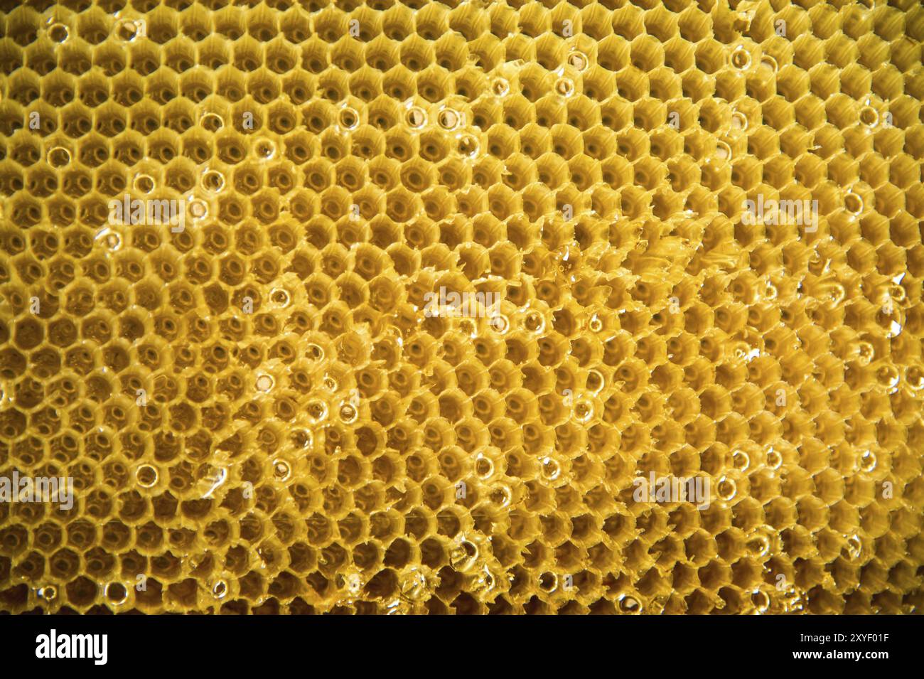 Drawn honey comb golden color from Frame Stock Photo - Alamy