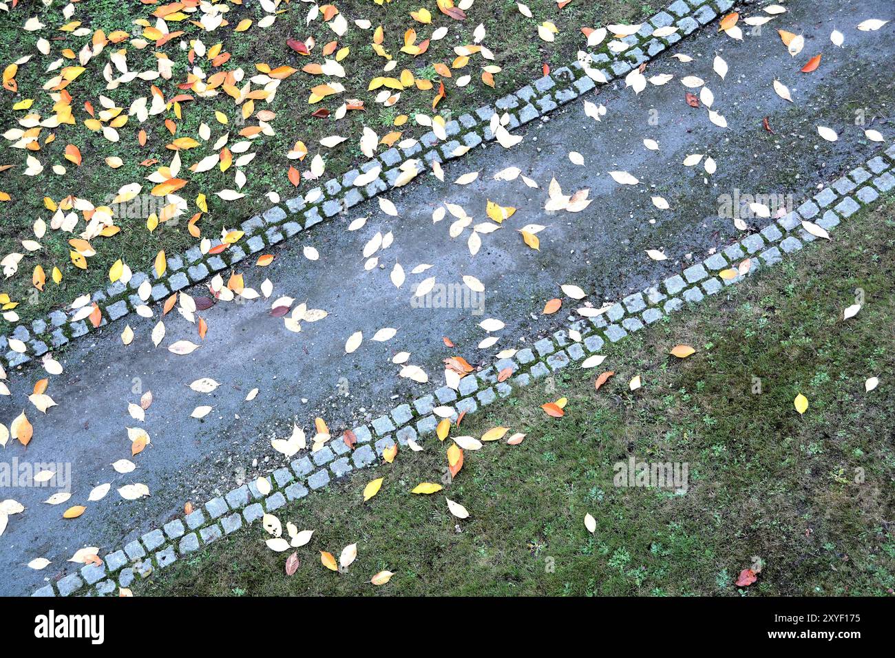 Autumn leaves on a footpath Stock Photo - Alamy