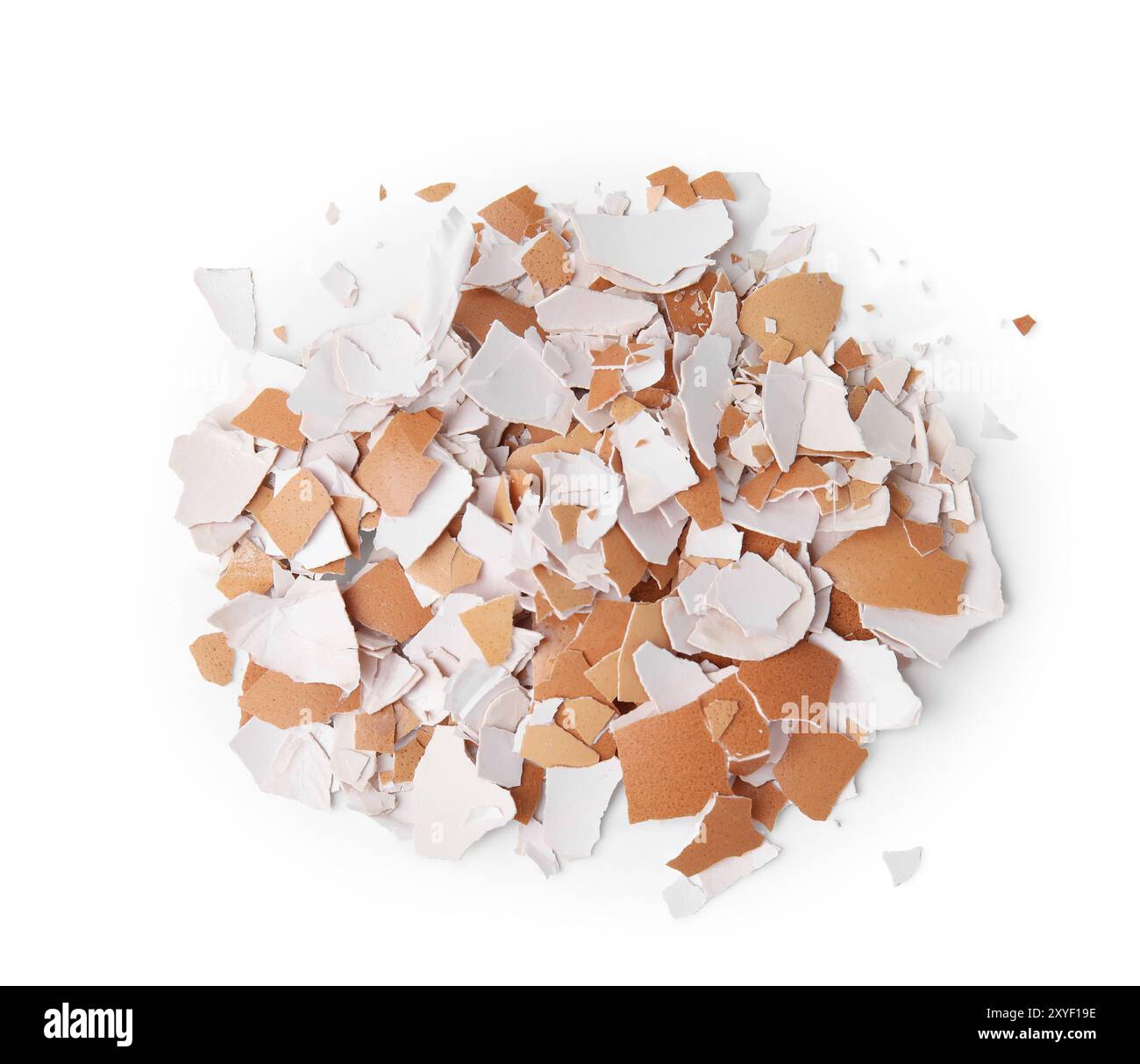 Top view white eggshells hi-res stock photography and images - Alamy