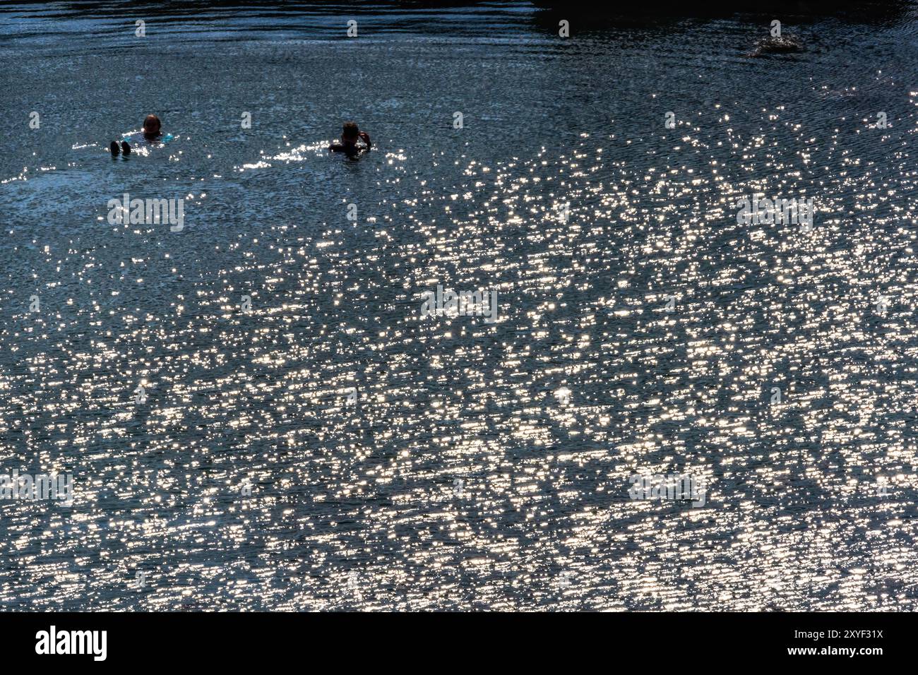Colorful Swimmers Lion's Den Ocean Sun Patterns Ripples Reflection ...