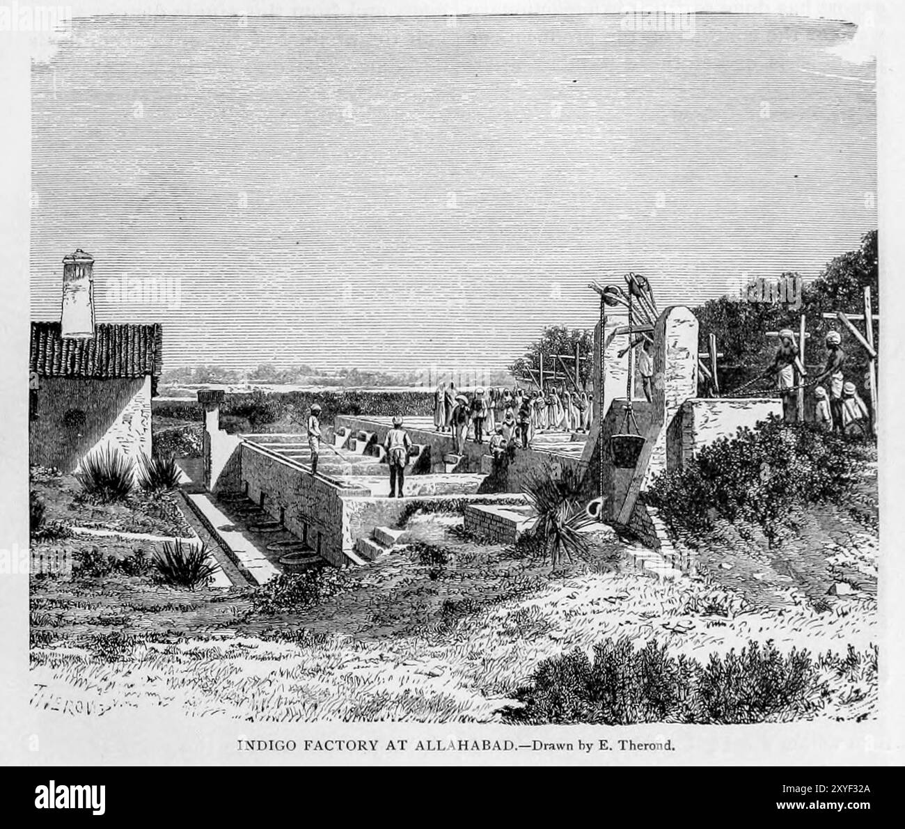 Indigo farm india hi-res stock photography and images - Alamy