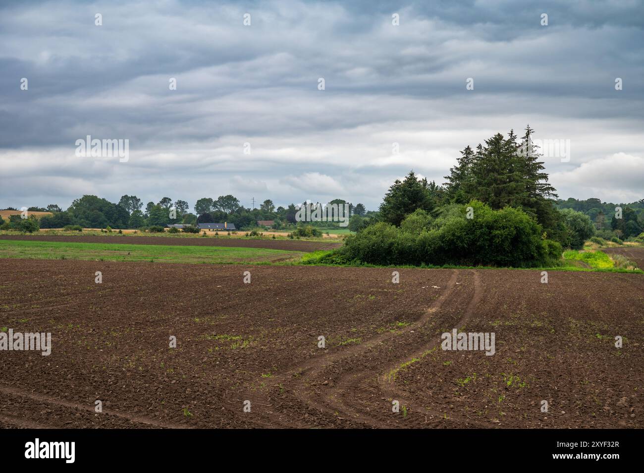 Brown soil and dark clouds at the Danish countryside around Skibinge ...