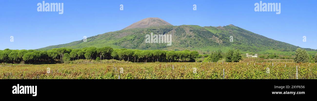 Vesuvius vineyard hi-res stock photography and images - Alamy