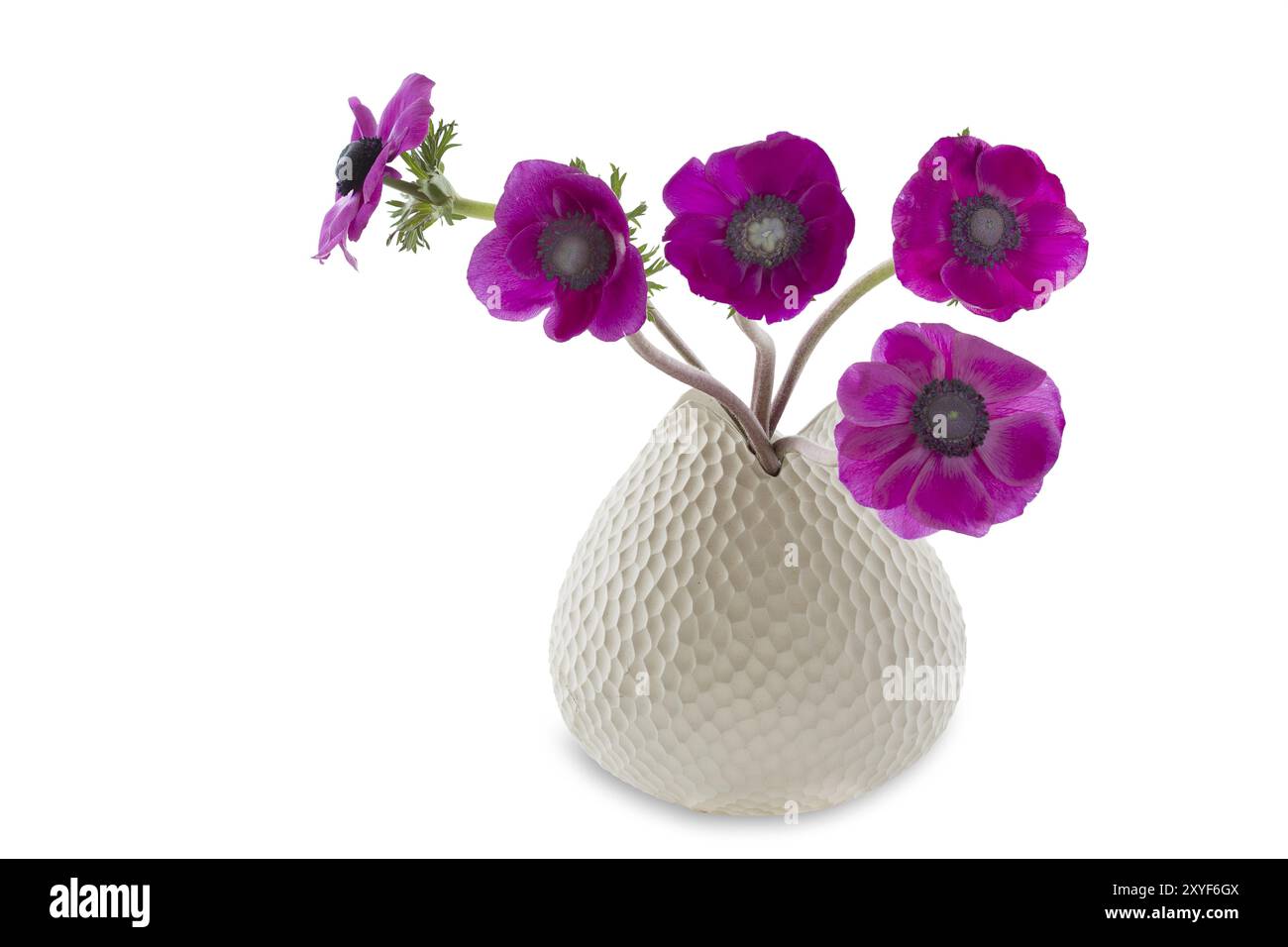 Back yard outdoor Cut Out Stock Images & Pictures - Alamy