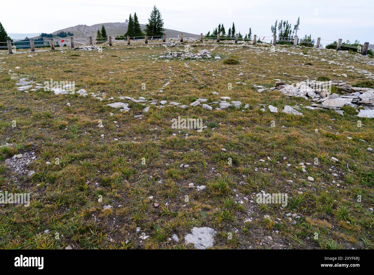Photograph of the Bighorn Medicine Wheel, a remote site sacred to ...