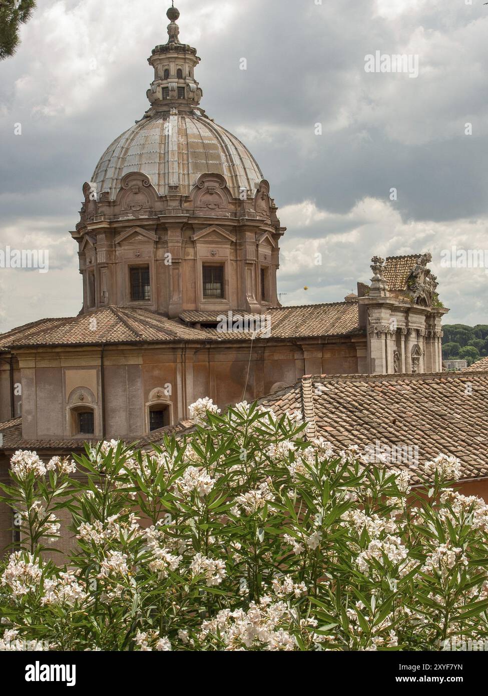 Detailed dome in baroque architecture, surrounded by vegetation and ...