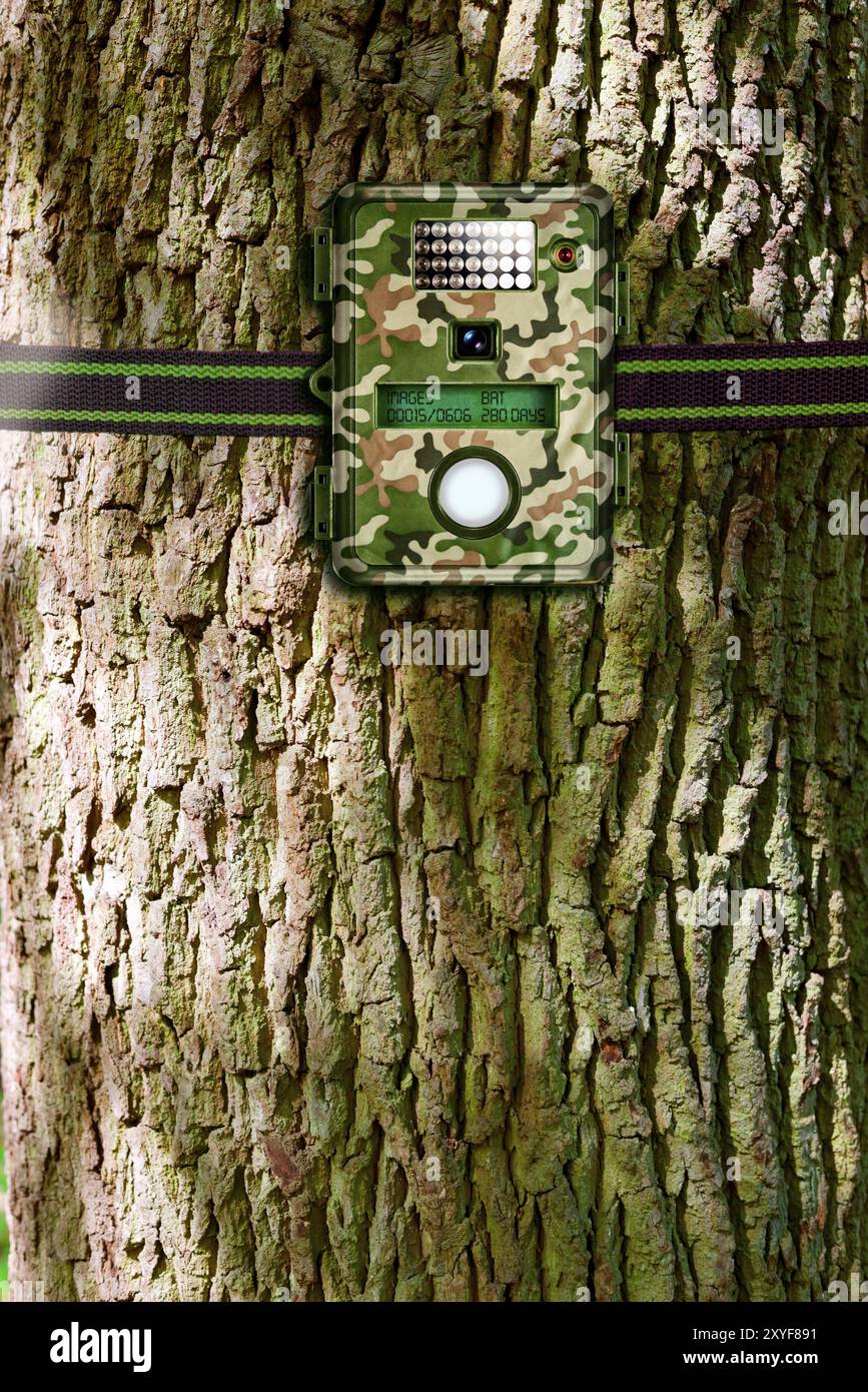 Wildlife camera for recording animals Stock Photo - Alamy