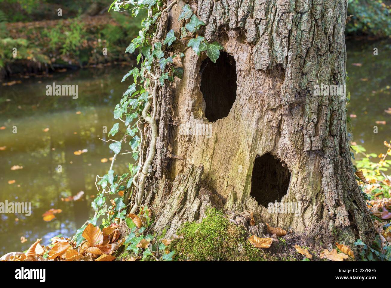 Underground holes hi-res stock photography and images - Alamy