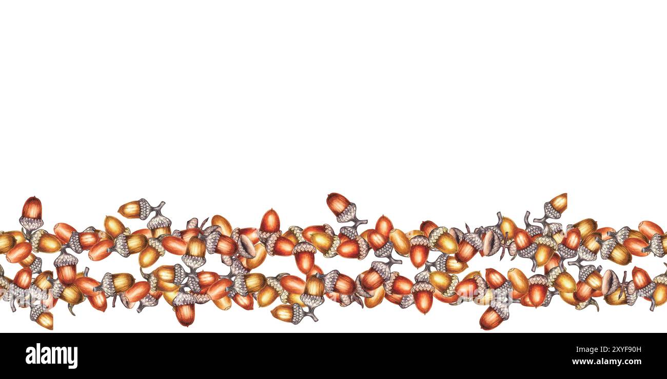 Seamless border of autumn colorful orange, brown oak leaves and acorns ...