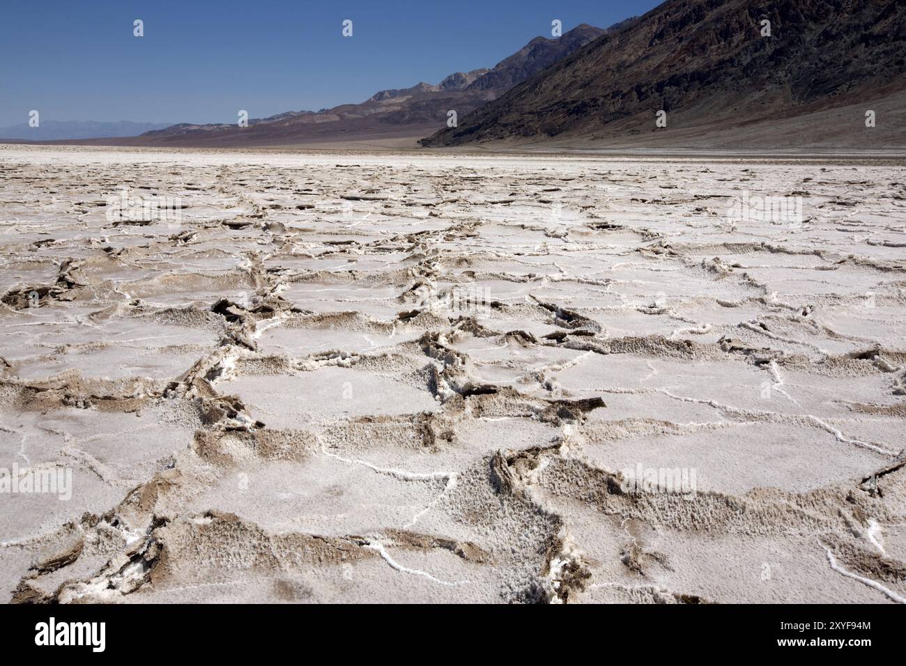 Hexagon honeycomb structure in the salt lake of Death Valley National ...