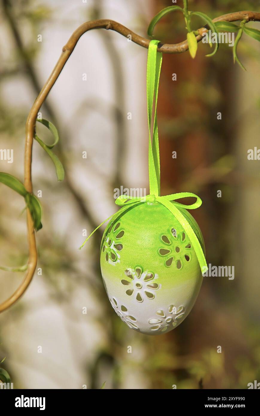 Easter shrub, shrub in the Easter period 02 Stock Photo - Alamy