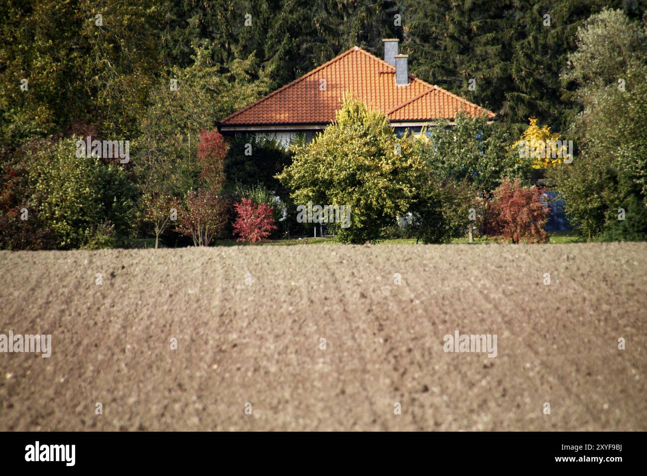 House with field Stock Photo - Alamy