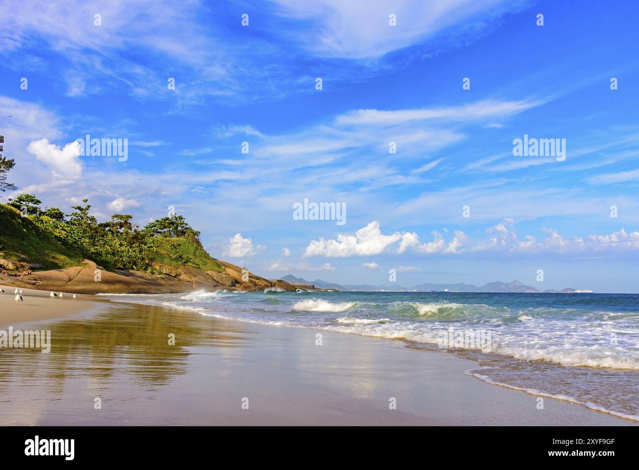 Waves, seagulls and stones on Devil's beach in Ipanema, Rio de Janeiro ...