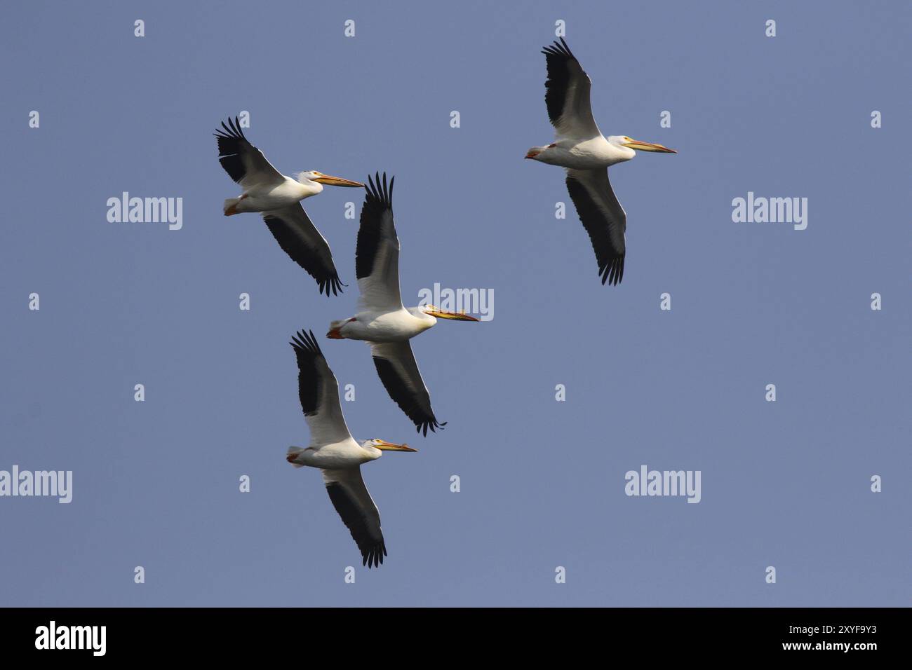 Nature scene from Wisconsin Stock Photo - Alamy