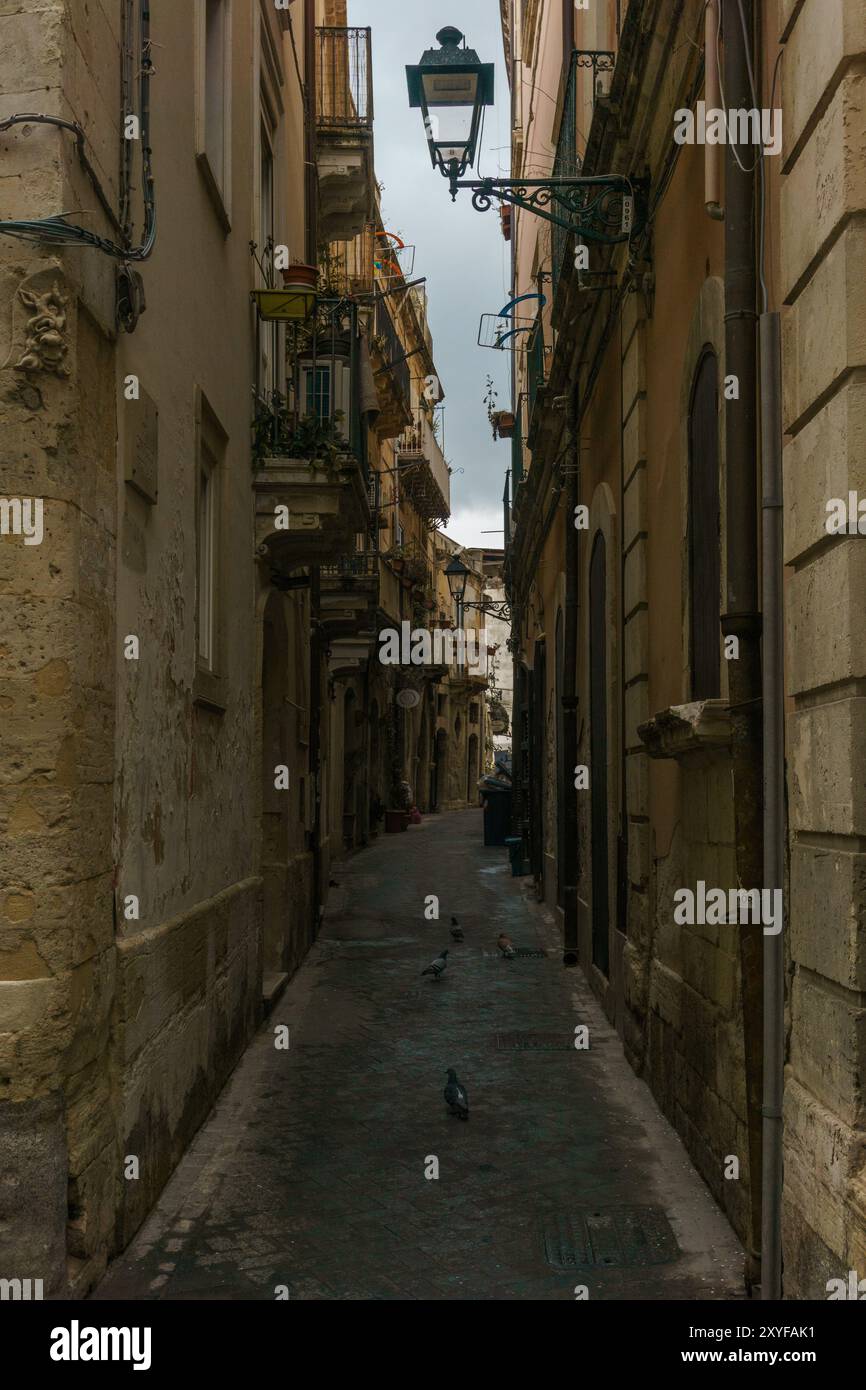 Typical narrow italian street with pigeons on the ground, Syracuse ...