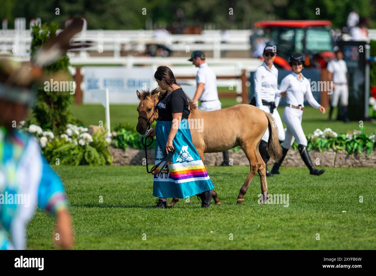 Wesley Clover Horse show Stock Photo - Alamy