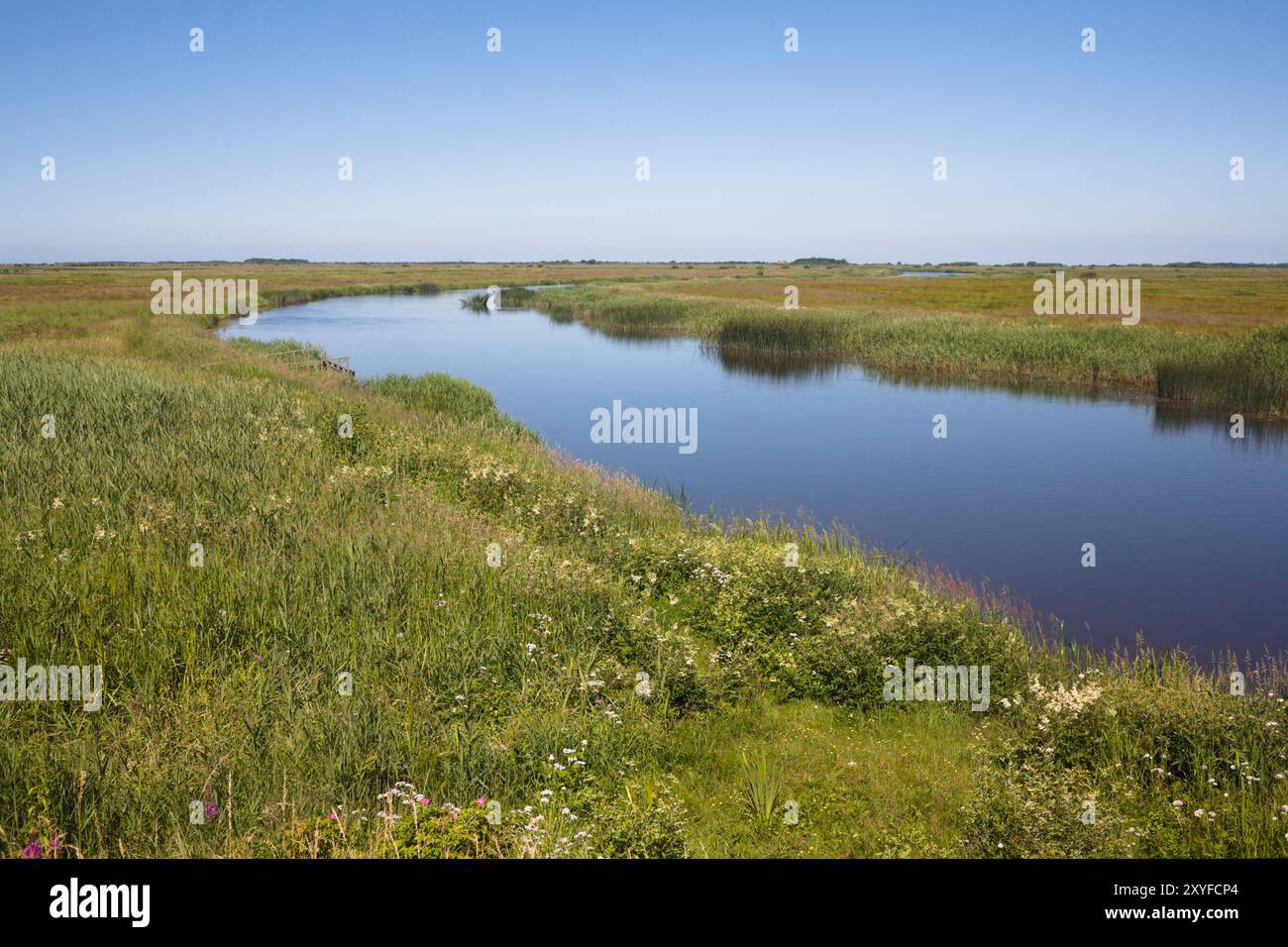 Skjern river national park hi-res stock photography and images - Alamy