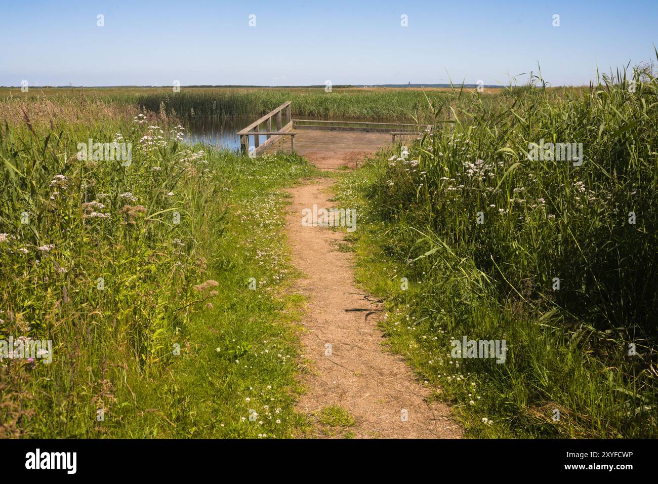 Short path leading to platform by Skjern river near Lonborg in Skjern ...