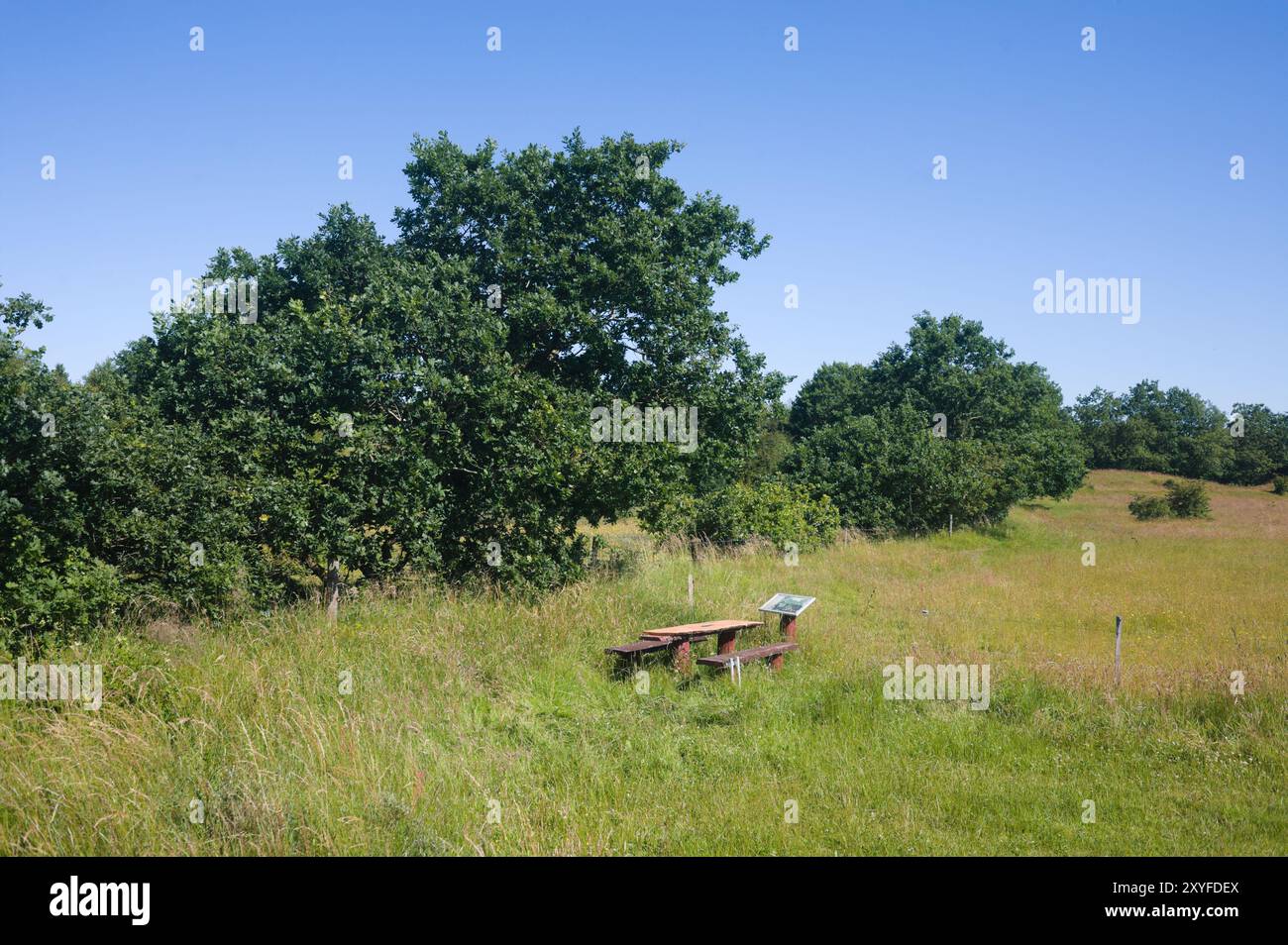 riverside meadow with wooden picnic bench near Borris in the Skjern ...