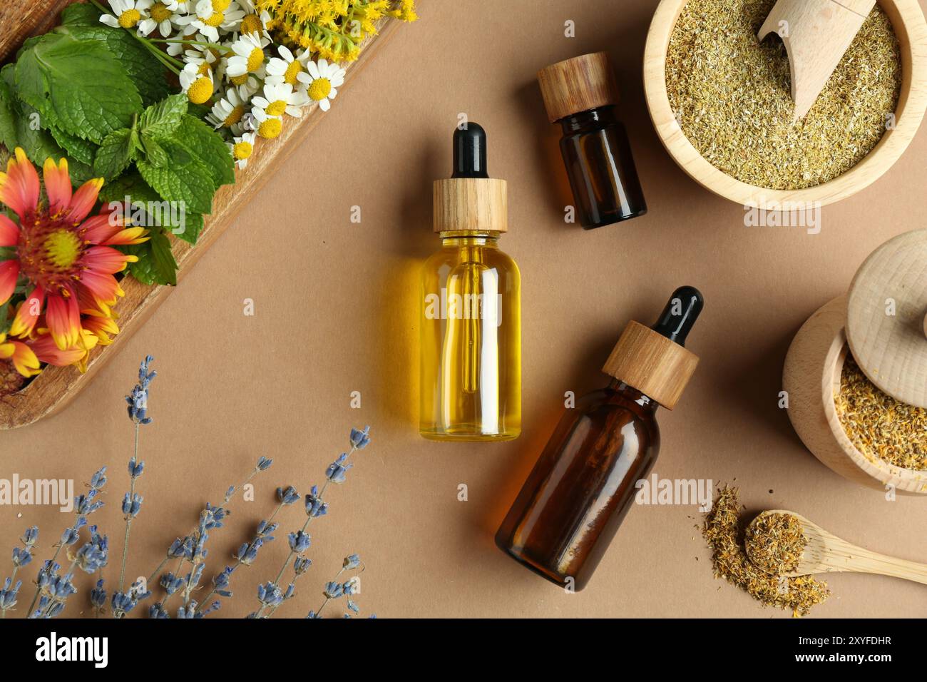 Tinctures in bottles and medicinal herbs on pale brown background, flat lay Stock Photo - Alamy