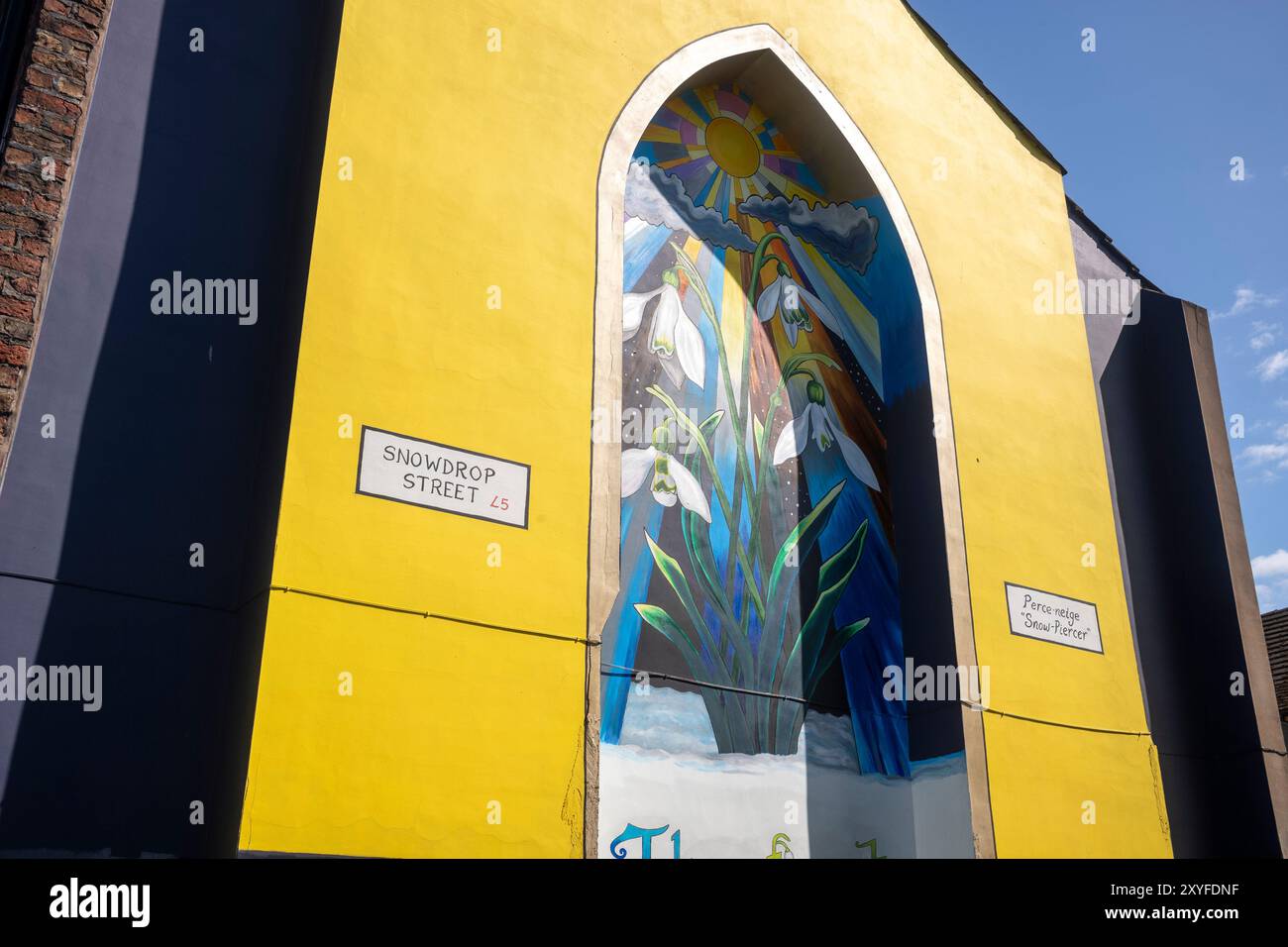 Kirkdale, Liverpool, UK, Flower Street Project 29th August 2024. The ...