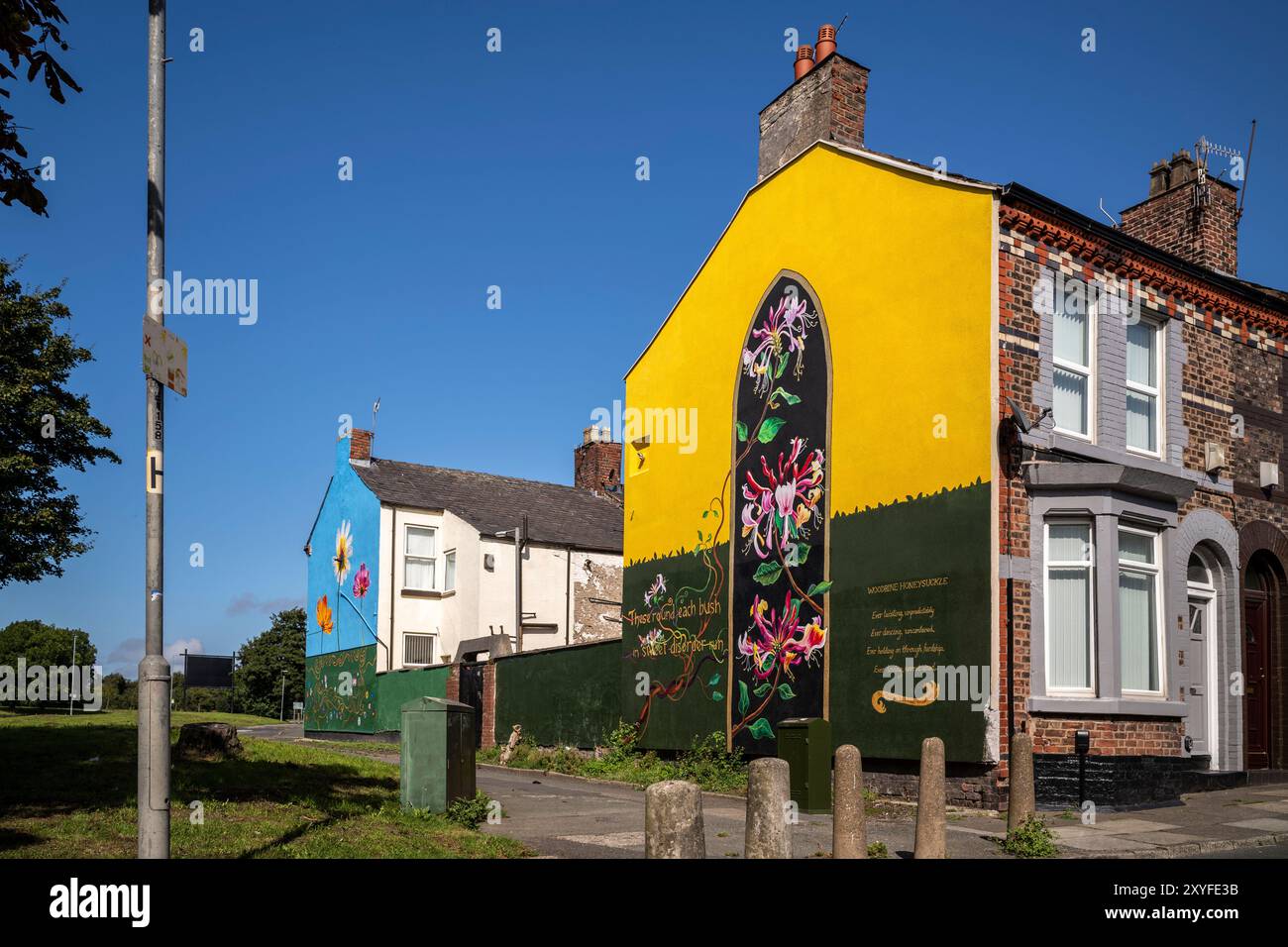 Kirkdale, Liverpool, UK, Flower Street Project 29th August 2024. The ...