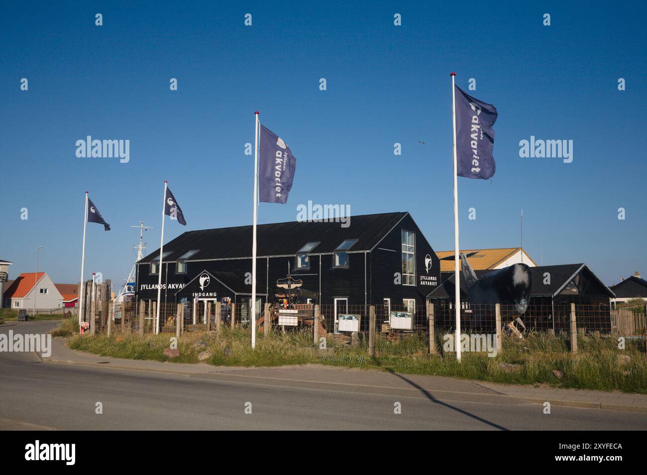 Jutland aquarium hi-res stock photography and images - Alamy