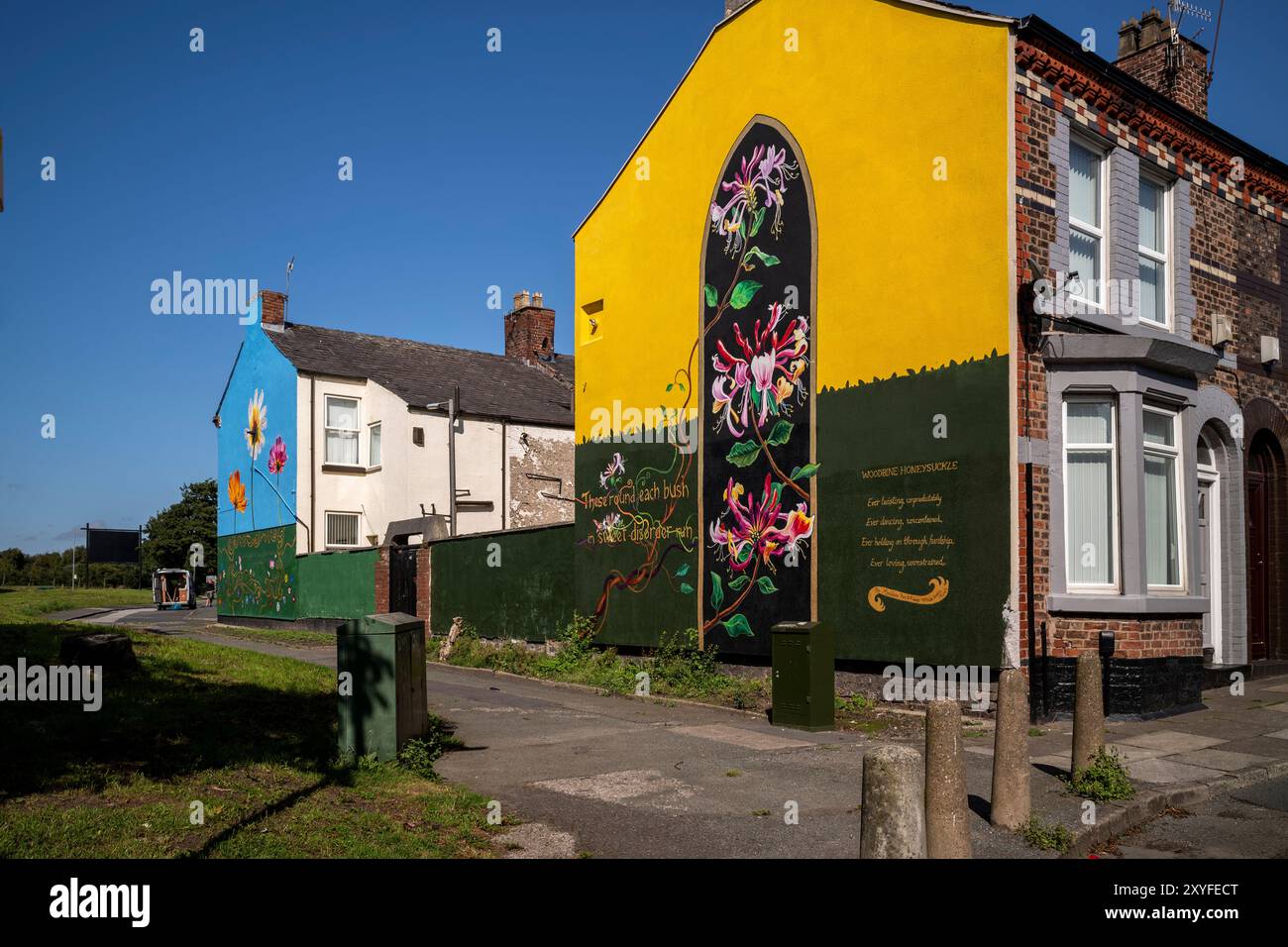 Kirkdale, Liverpool, UK, Flower Street Project 29th August 2024. The ...