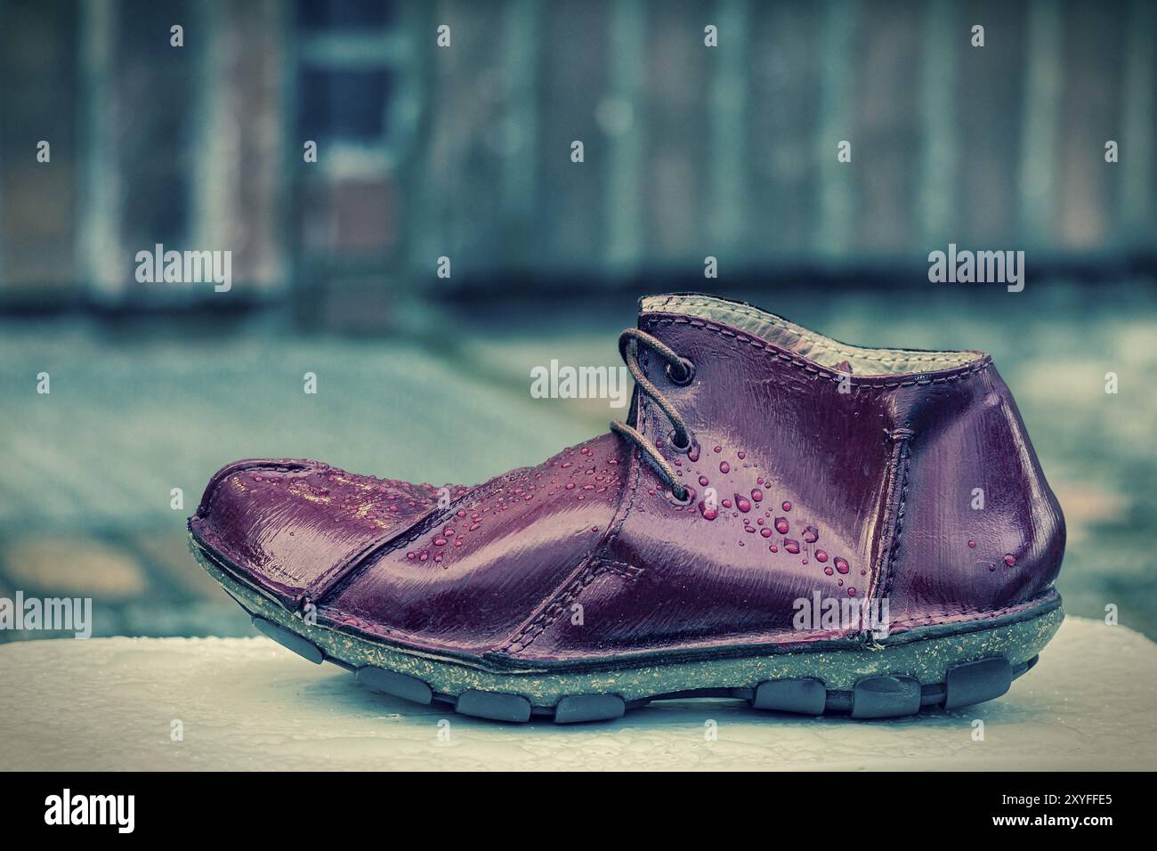 A single shoe Stock Photo - Alamy