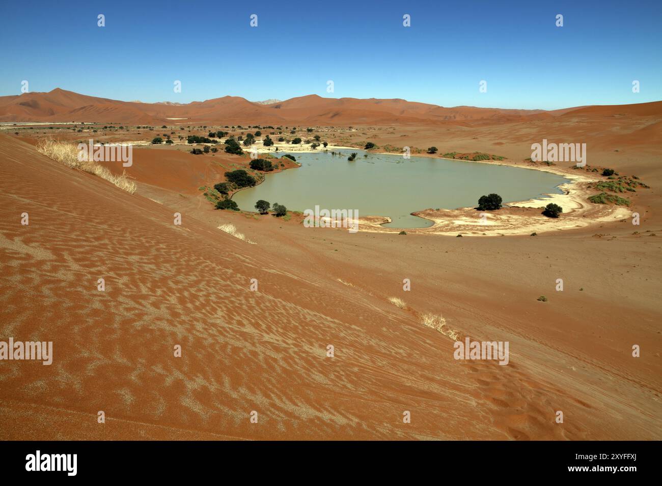 Sossusvleii in the Namib-Naukluft National Park in Namibia where a lake ...