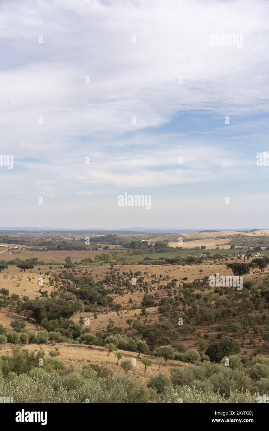 Alentejo beautiful green and brown landscape with olive and cork trees ...
