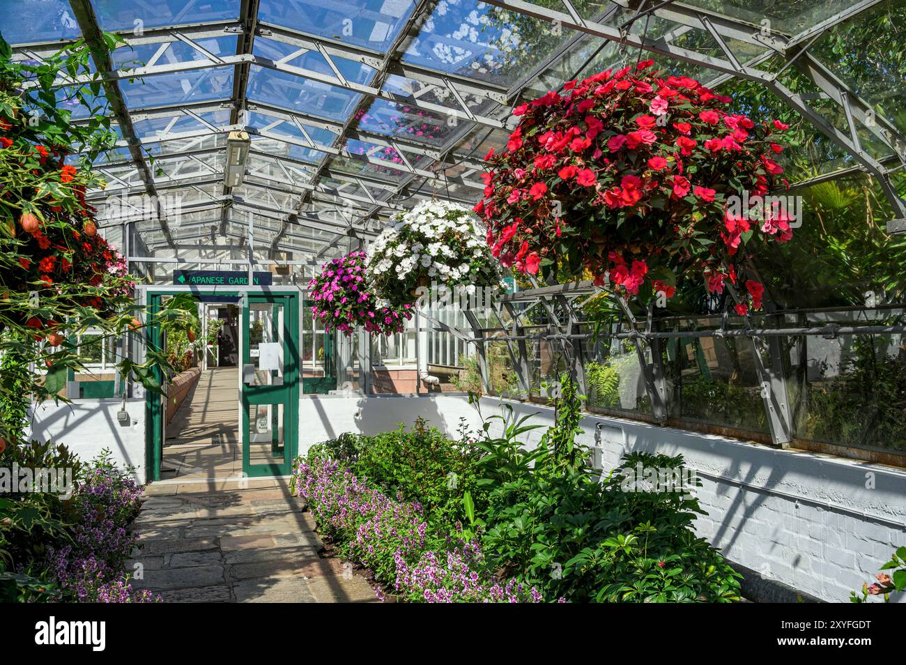 Inside the David Welch Winter Gardens, Duthie Park, Aberdeen, Scotland ...