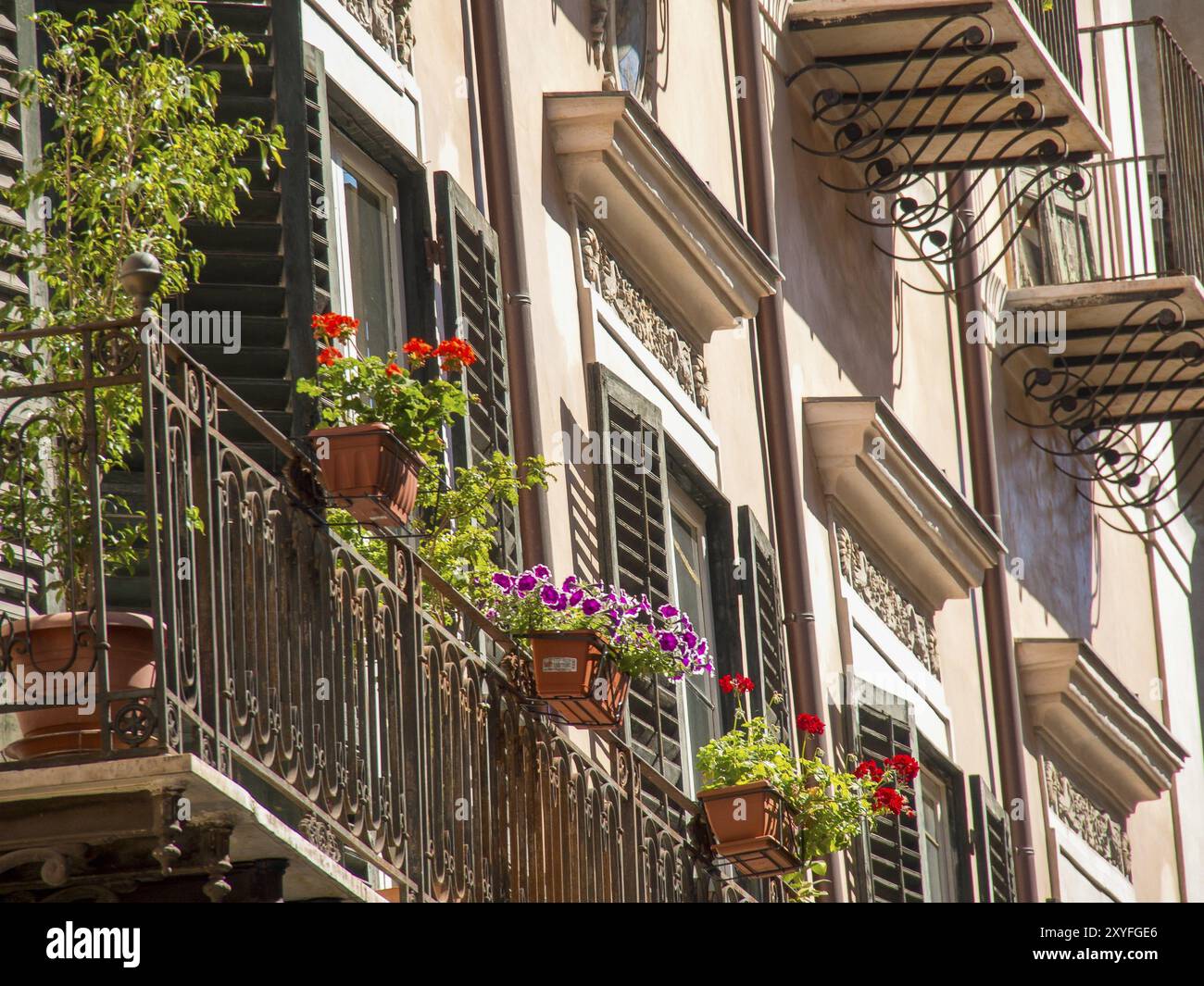 Balconies with flowers and plants, wooden shutters, metal railings on a ...