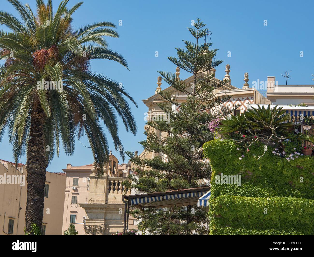 Historic buildings and trees with palm trees under a blue sky, palermo ...