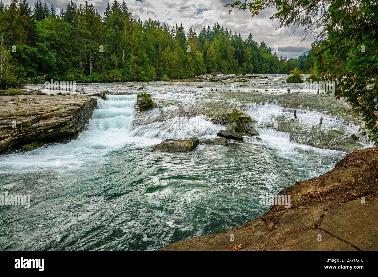 Nymph Falls and the fish ladder on the Puntledge River, Vancouver ...