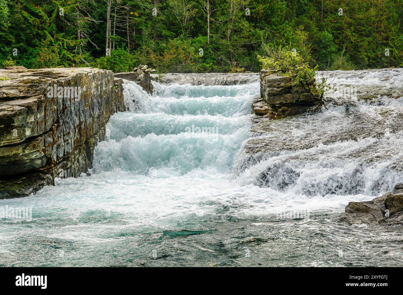 A fish ladder carved out of the rock at Nymph Falls on the Puntledge ...