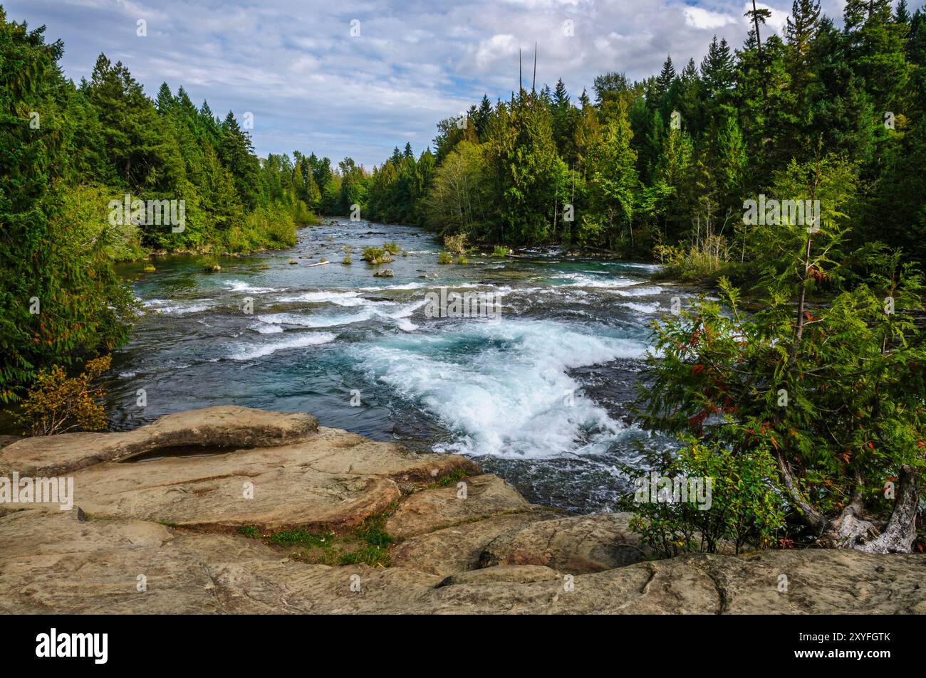 The Puntledge River flowing through the forest downstream of Nymph ...