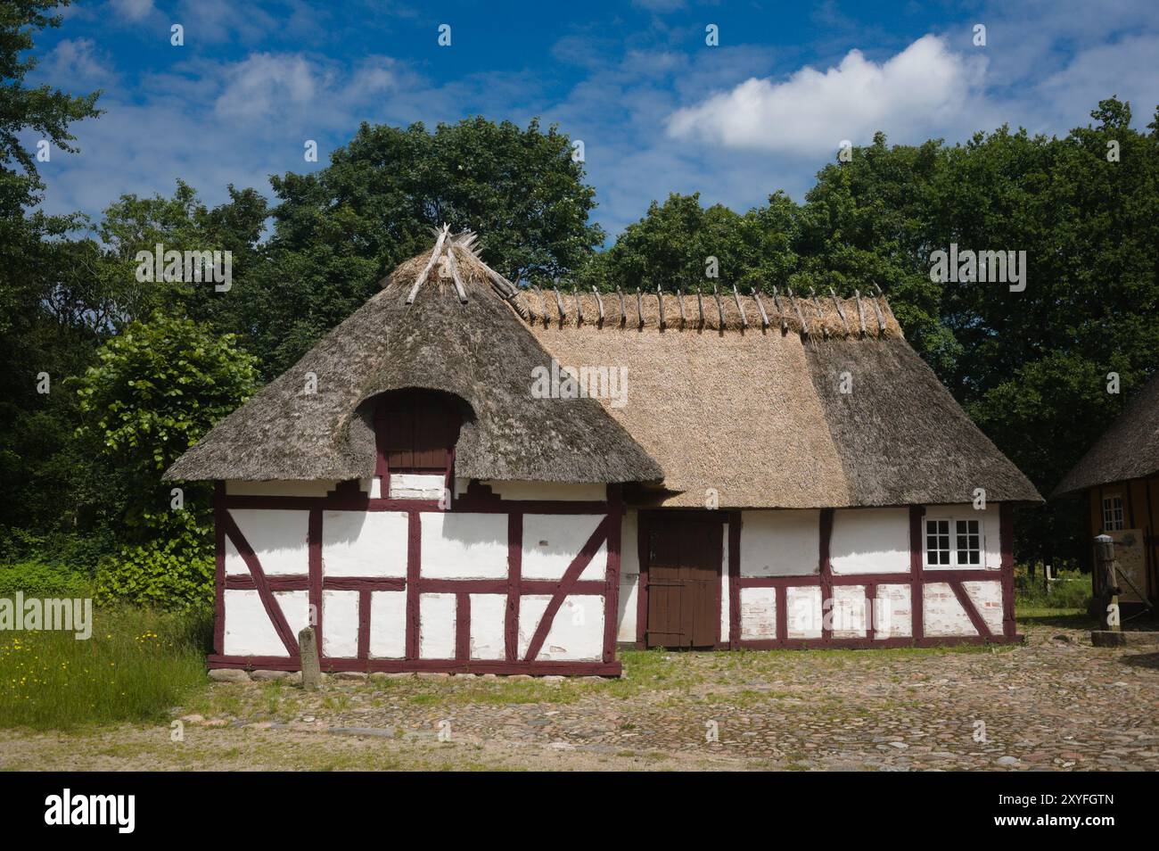 Fune pefer hi-res stock photography and images - Alamy