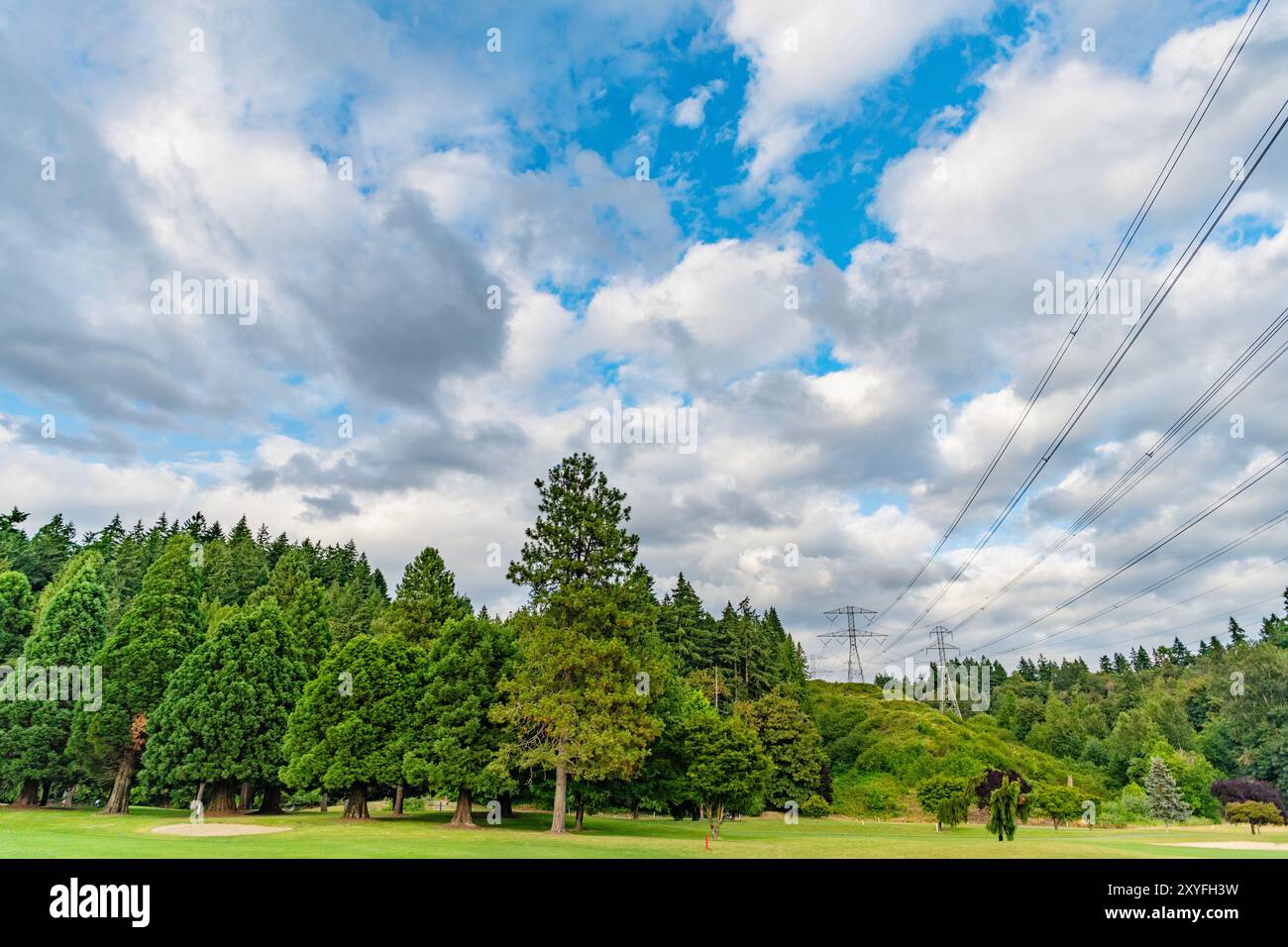 High voltage. Electricity pylon. Nature summer environment. Electricity ...