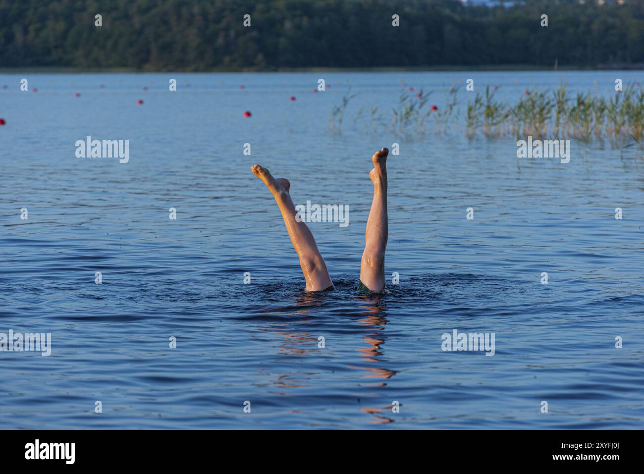 A person standing upside down in a lake. Legs visible over water Stock ...