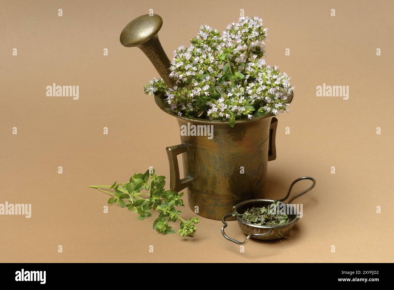 Flowering oregano in a mortar and dried oregano in a tea strainer ...